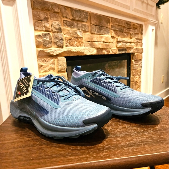 Nike | Shoes | Nike Pegasus Trail 5 Goretex Smokey Bluelight ...